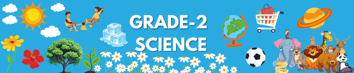 Grade 2 Science Dewwool