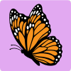 butterfly_thumbnail | DewWool